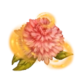 Cave flower | Dreamfields Wiki | Fandom
