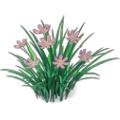Fairytale grass (resource) | Dreamfields Wiki | Fandom