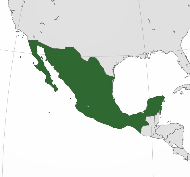 Mexico | Unnatural World Universe Wiki | Fandom