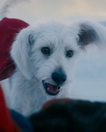 Krypto the Superdog | Unnatural World Universe Wiki | Fandom