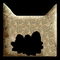 CuckooClan | DreamingWolf's Random Wiki | Fandom