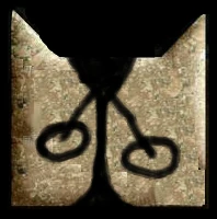 CandorClan | DreamingWolf's Random Wiki | Fandom