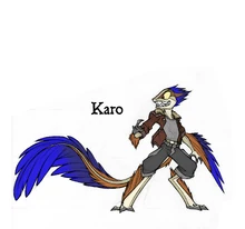 Karo | Dreamkeepers Wiki | Fandom