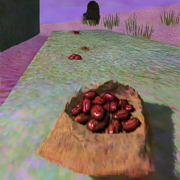 Magic Beans | Dreamland Wiki | Fandom