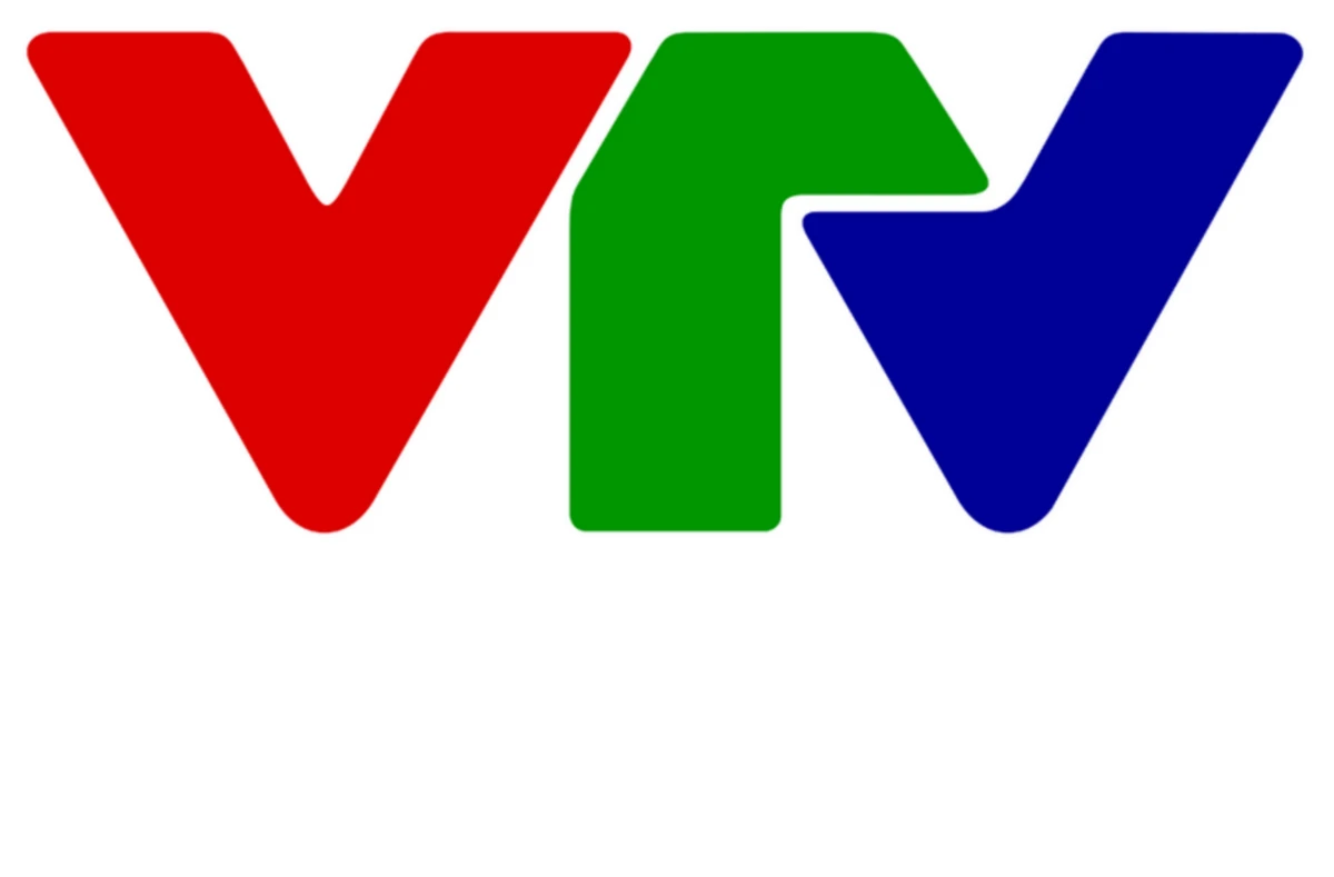 VTV14 | Dream Logos Wiki | Fandom