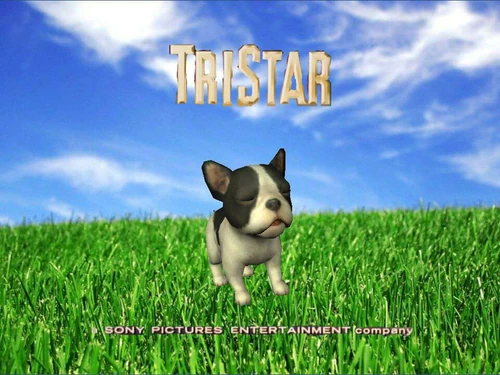 TriStar Pictures/Dream Logo Variations | Dream Logos Wiki | Fandom