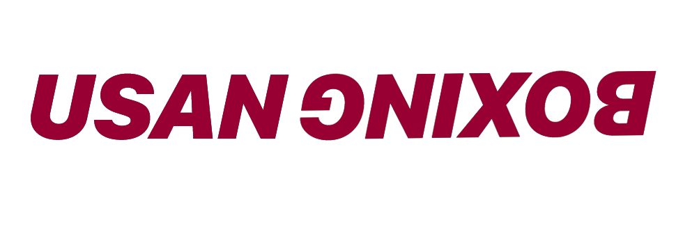 American Box | Dream Logos Wiki | Fandom