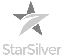Star Silver | Dream Logos Wiki | Fandom