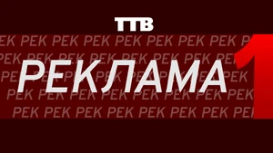 TTV1 (Tervija) | Dream Logos Wiki | Fandom