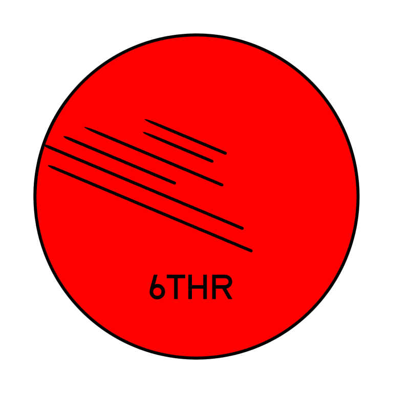 6THR | Dream Logos Wiki | Fandom