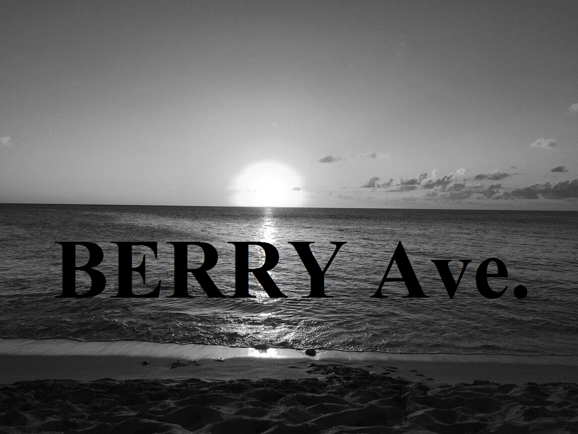 Berry Avenue (Soap Opera)/Other | Dream Logos Wiki | Fandom