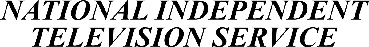 NTV Network | Dream Logos Wiki | Fandom