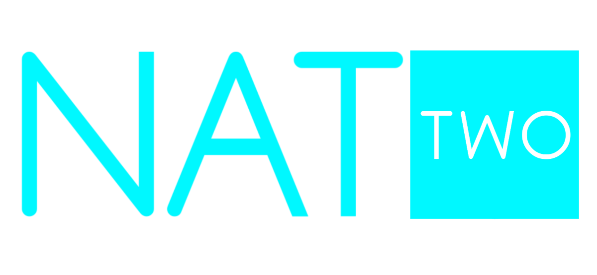 NAT Two (Perkeyland) | Dream Logos Wiki | Fandom