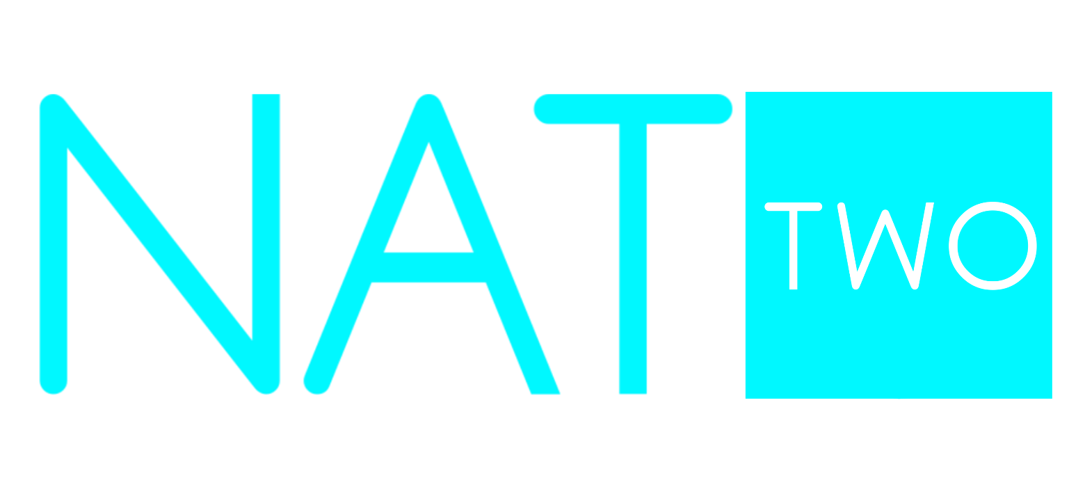 NAT Two (Perkeyland) | Dream Logos Wiki | Fandom