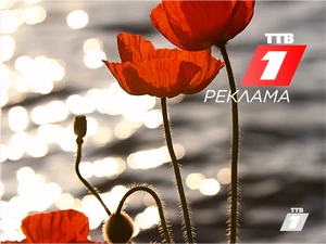 TTV1 (Tervija) | Dream Logos Wiki | Fandom