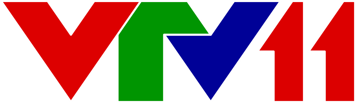 VTV11 | Dream Logos Wiki | Fandom