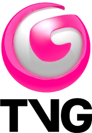 TVG (Japan) | Dream Logos Wiki | Fandom