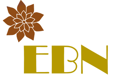 EBN (United States) | Dream Logos Wiki | Fandom
