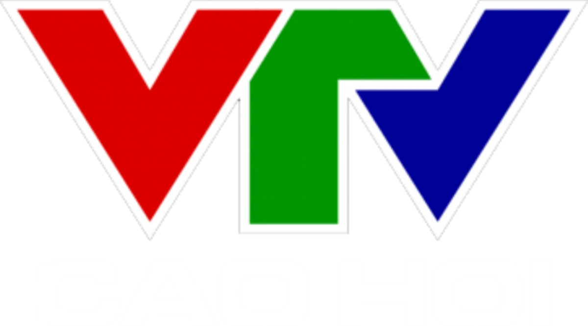 VTV10 | Dream Logos Wiki | Fandom