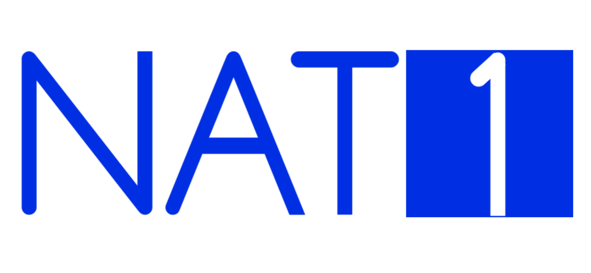 NAT1 (Perkeyland) | Dream Logos Wiki | Fandom