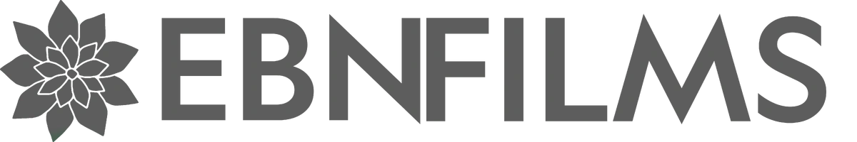 EBN Films | Dream Logos Wiki | Fandom