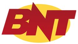 BNT (Latin America) | Dream Logos Wiki | Fandom