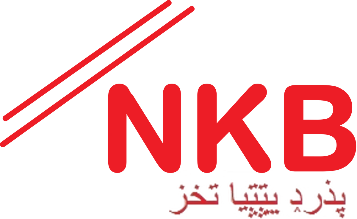 NKB TV1 | Dream Logos Wiki | Fandom