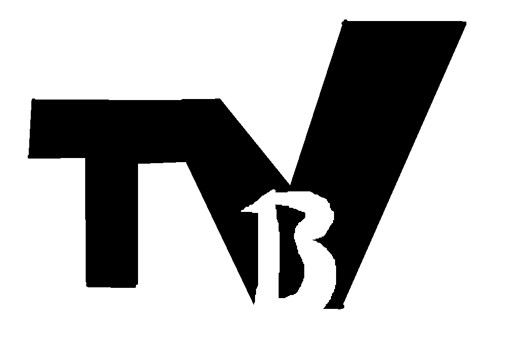 TV13 (Sweden) | Dream Logos Wiki | Fandom