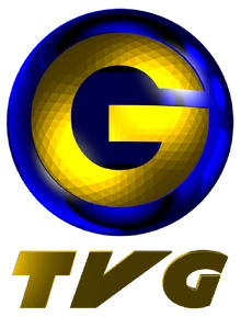 TVG (Japan) | Dream Logos Wiki | Fandom