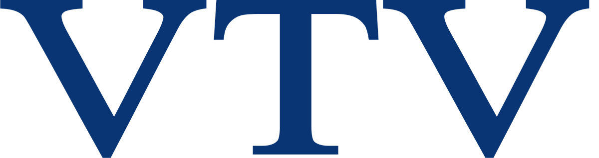 VTV14 | Dream Logos Wiki | Fandom