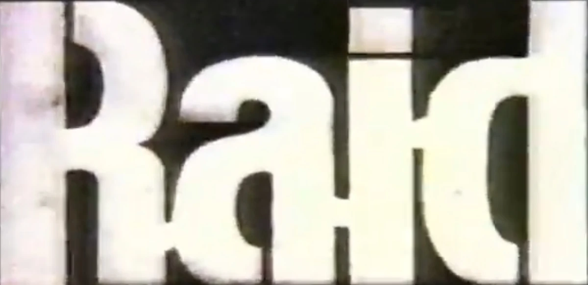 Raid (Boinesu) | Dream Logos Wiki | Fandom