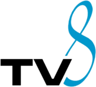 TV8 (Spain) | Dream Logos Wiki | Fandom