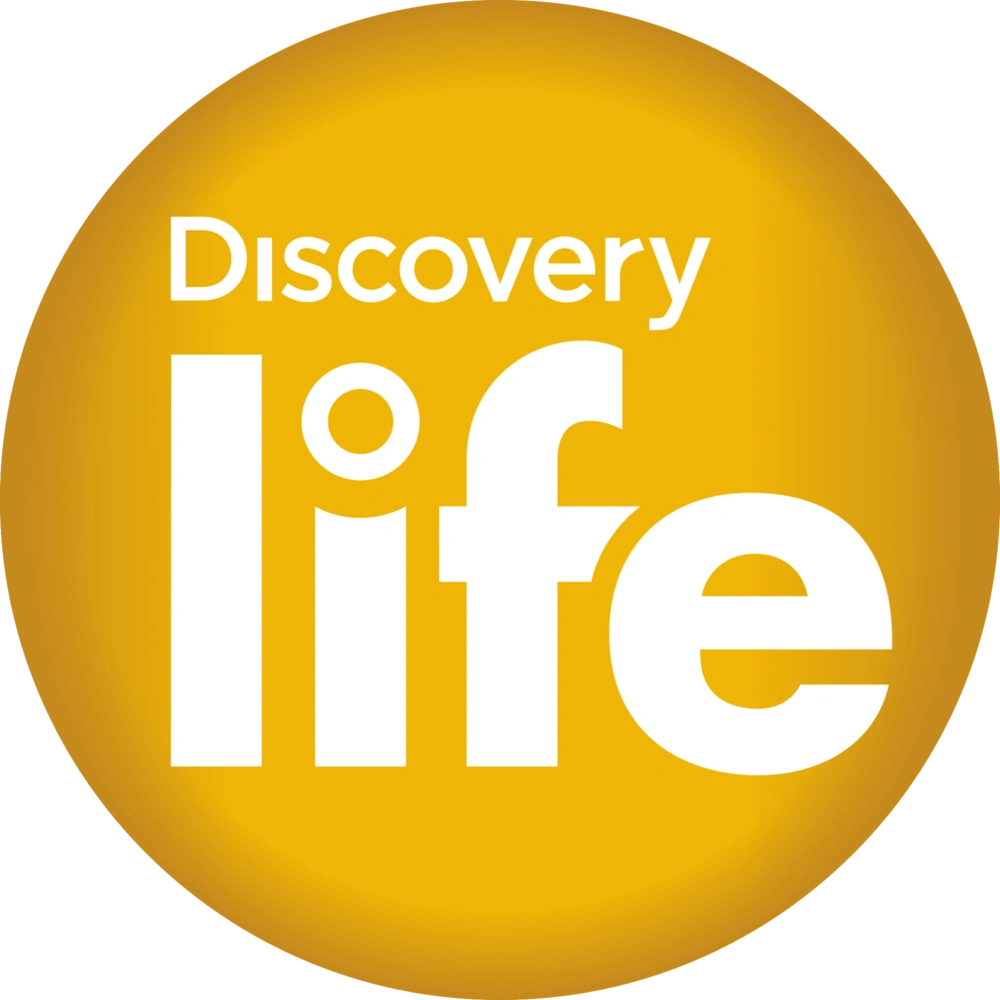 Discovery Life (Latyi) | Dream Logos Wiki | Fandom