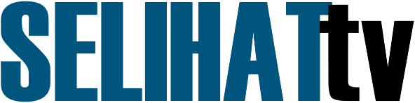 STV (Borundian TV channel) | Dream Logos Wiki | Fandom