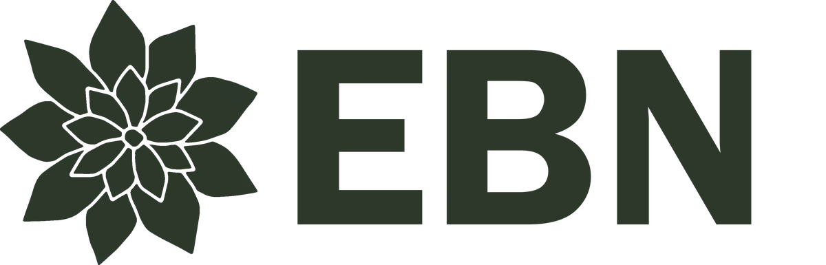 EBN (UK and Ireland) | Dream Logos Wiki | Fandom