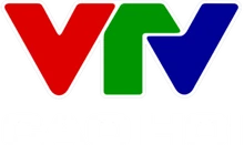 VTV10 | Dream Logos Wiki | Fandom