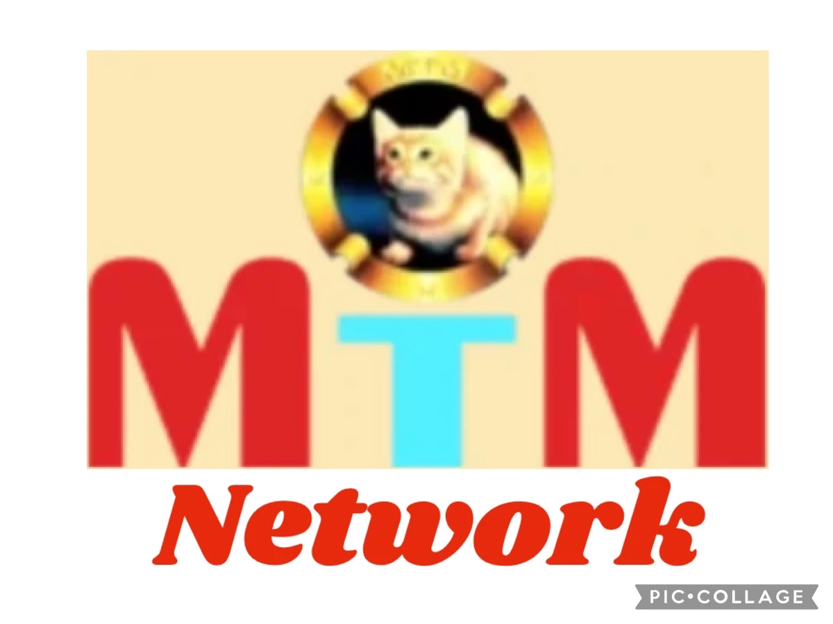 MTM Network (USA) | Pikeland Wiki | Fandom