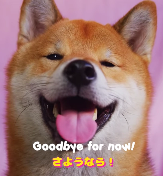 Goodbye For Now | Pikeland Wiki | Fandom