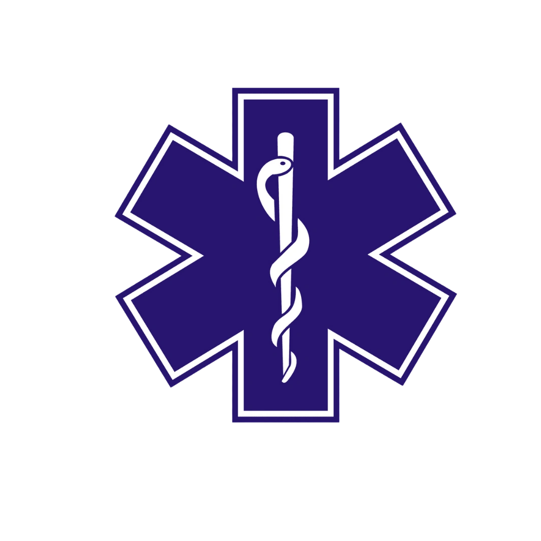 San Andreas Medical Service | DreamScape RP Wiki | Fandom