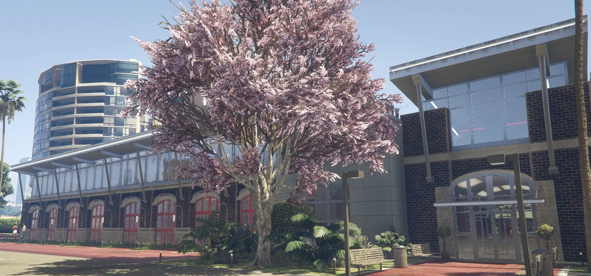 San Andreas Fire & Rescue | DreamScape RP Wiki | Fandom