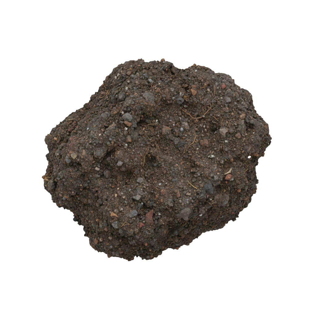 Podzol | Dreamscape Wiki | Fandom