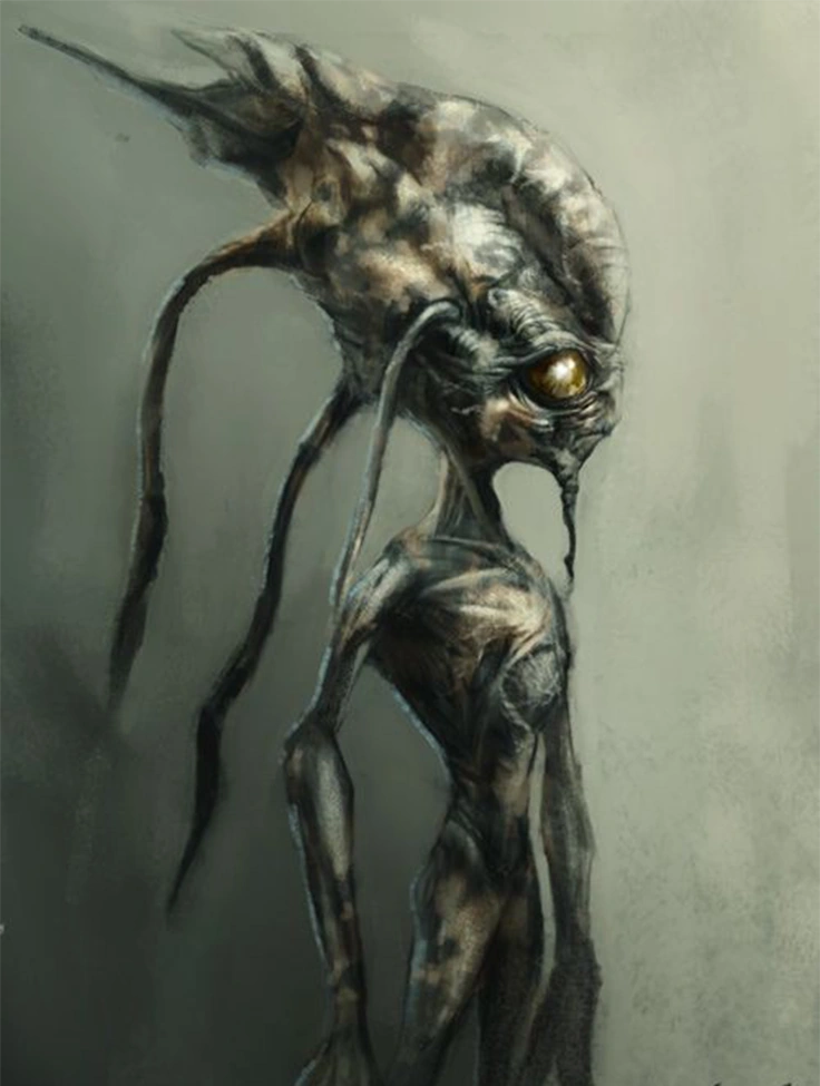 Tilinus | Dreamscape Wiki | Fandom