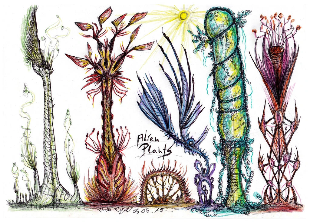 Biomas | Dreamscape Wiki | Fandom