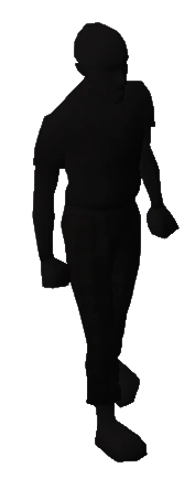 Shadow Pet | Redemption RSPS Wiki | Fandom