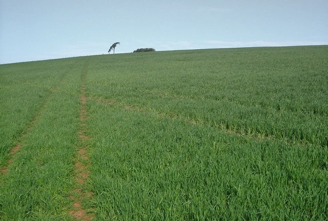 Dream 61 | Dreamspace Wiki | Fandom