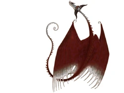 typhoomerang coloring page