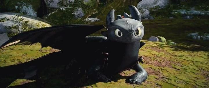 Toothless | DreamWorks: Dragons Wiki | Fandom