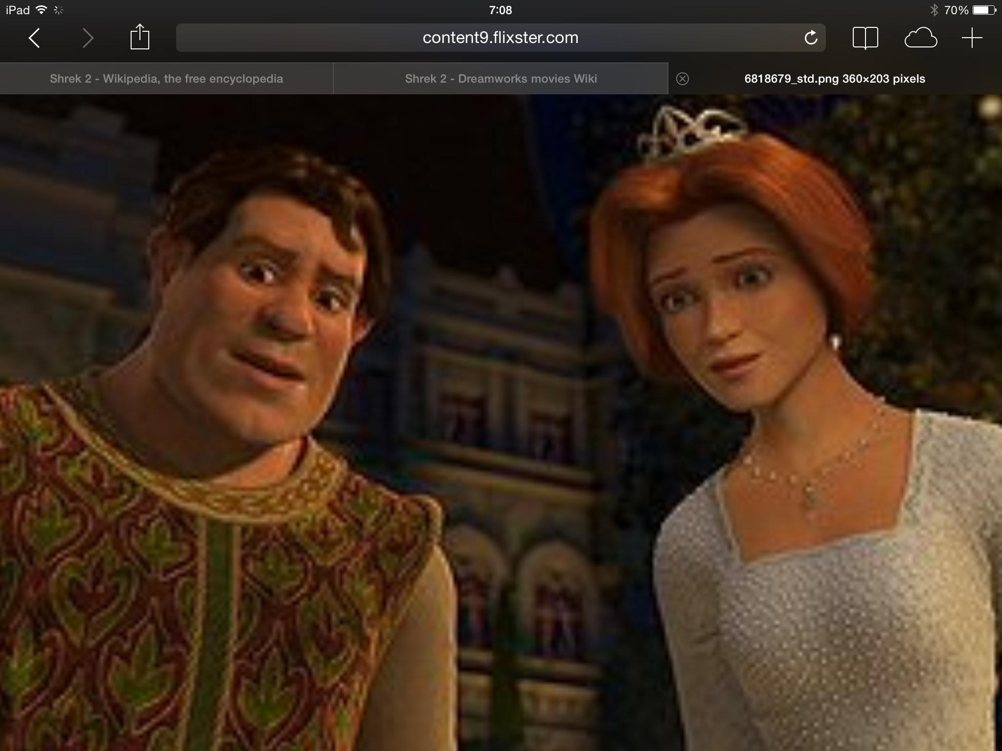 Shrek 2 Mens Fiona Couples Ladies AND Mens Dreamworks Shrek And Fiona