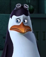 Kowalski/Gallery | Penguins of Madagascar Wikia | Fandom