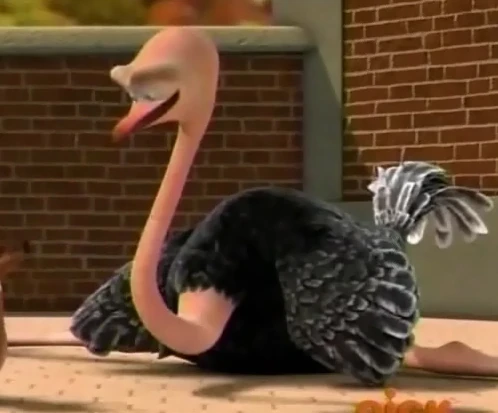 Shelly | DreamWorks Polska Wiki | Fandom